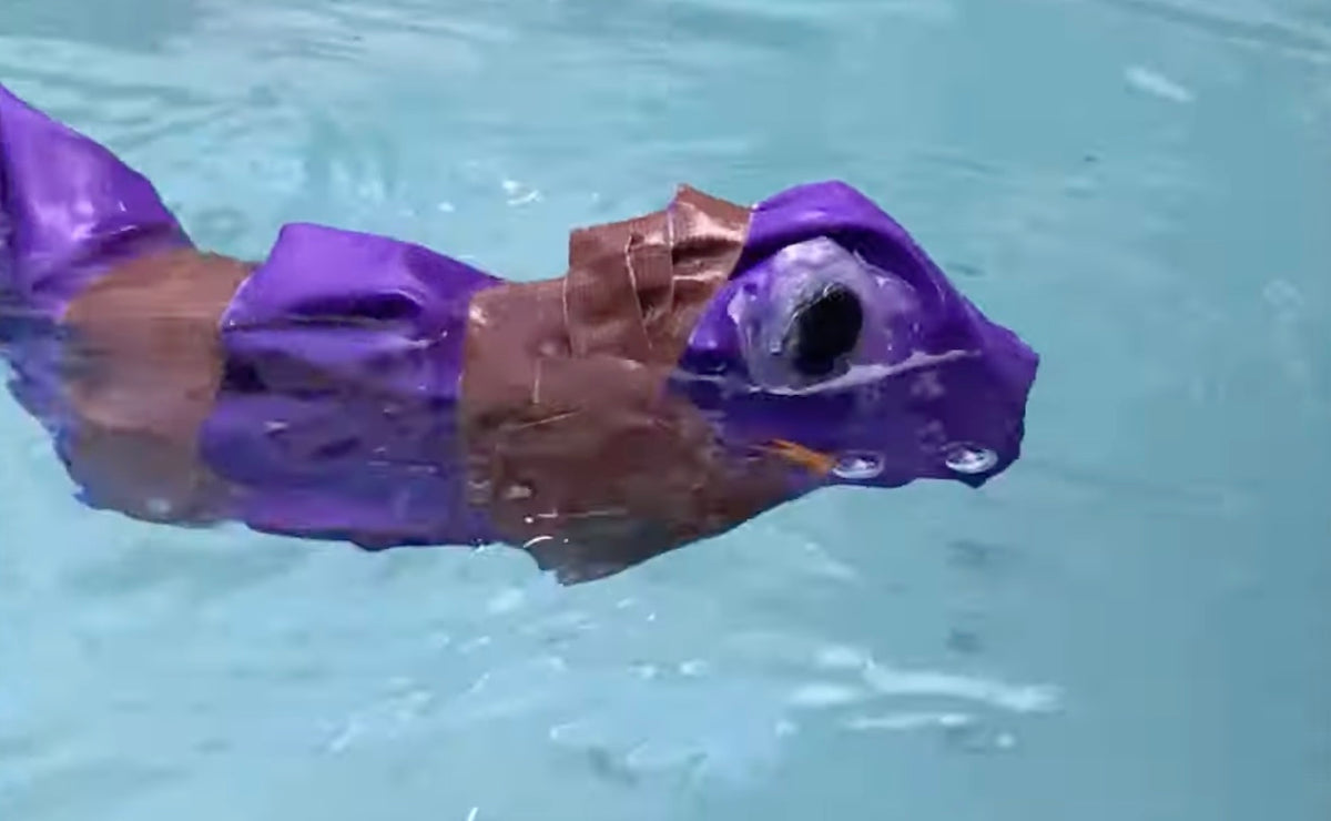 This Arduino-powered robotic fish swims like the real thing — PMD Way