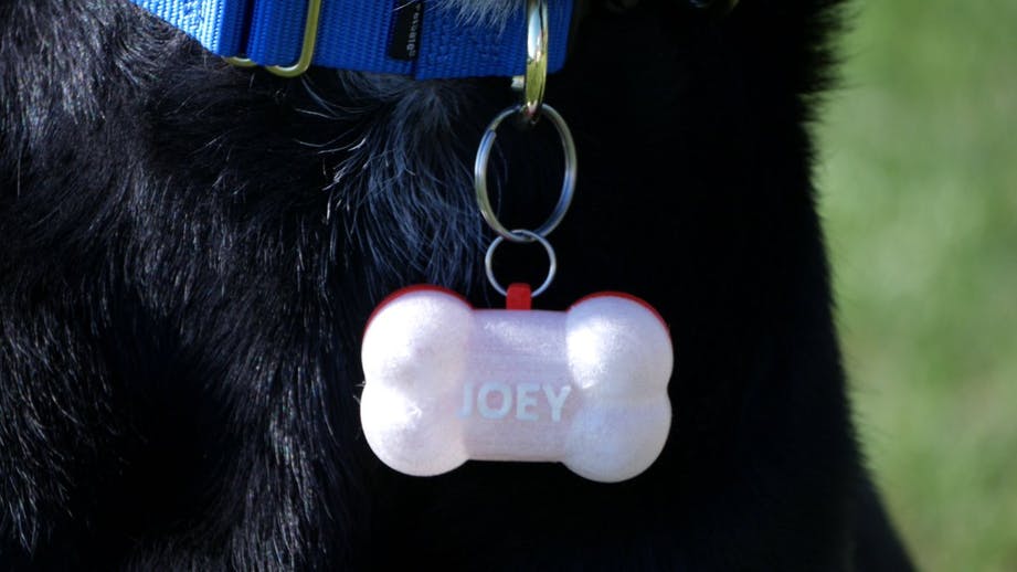 Enhance Your Pups with an RGB Dog Collar Light — PMD Way