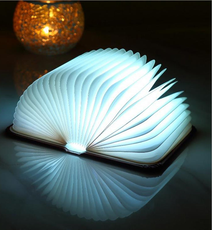 Rechargeable Folding Book Light — PMD Way